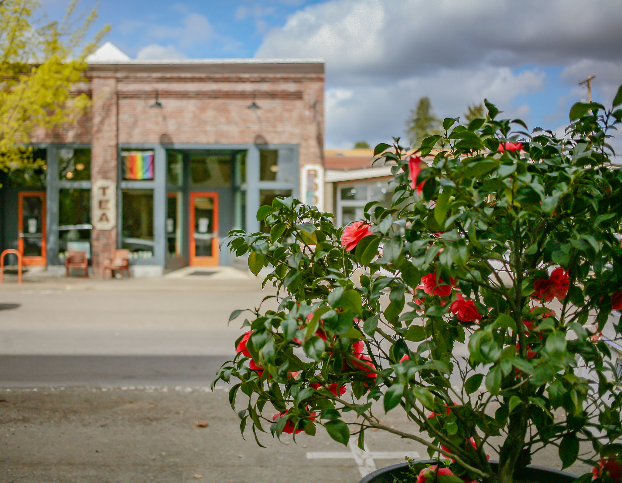 Spring Activities To Do Outside of Portland, Oregon